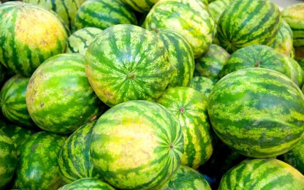 Get Your Summer Fix: Tips for Selecting the Best Watermelon! – yoRecipes