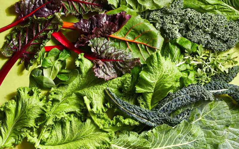 Don’t Be a Daredevil: Risky Foods to Avoid at All Costs – yoRecipes