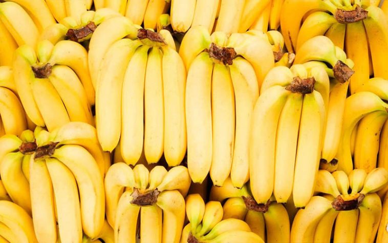 Don’t Slip on Wasted Bananas: Try These Tips! – yoRecipes