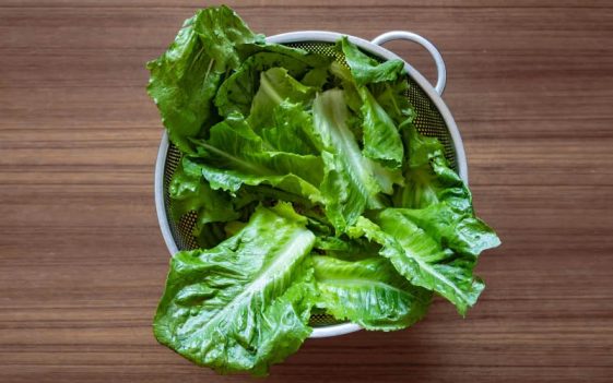 How to Prolong Your Bagged Salad’s Shelf Life – yoRecipes