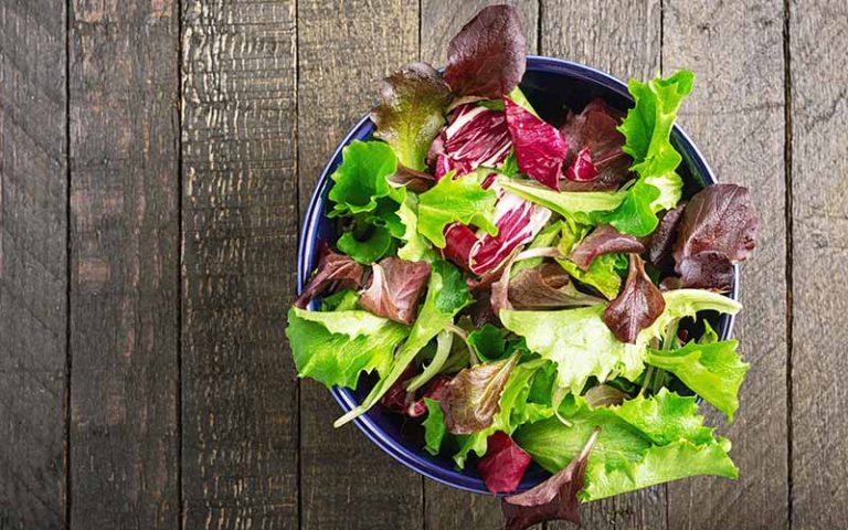 Zero-Calorie Snacks for Guilt-Free Munching – yoRecipes