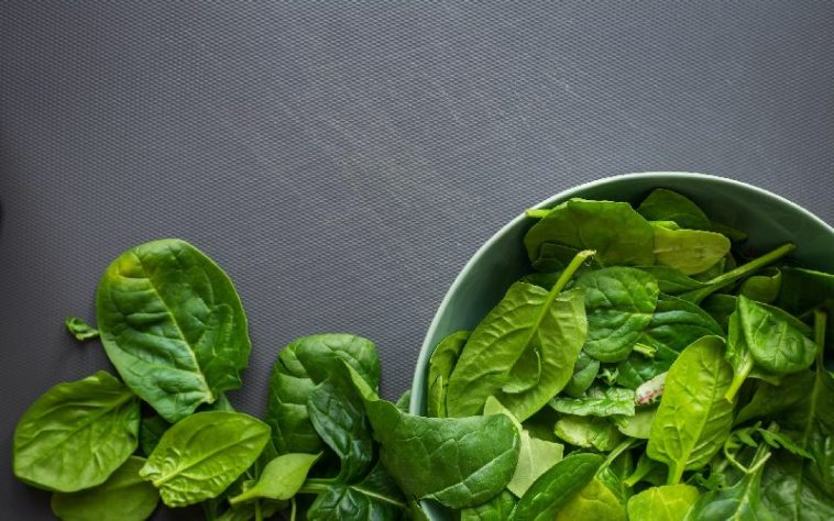 Power Up with Spinach: Discover What It Does to Your Body! – yoRecipes