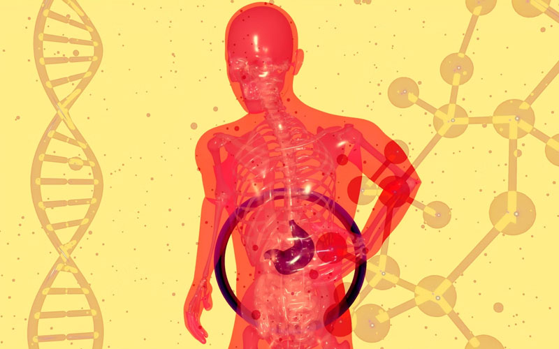 Watch Out! Avoid These Foods on an Empty Stomach! – yoRecipes